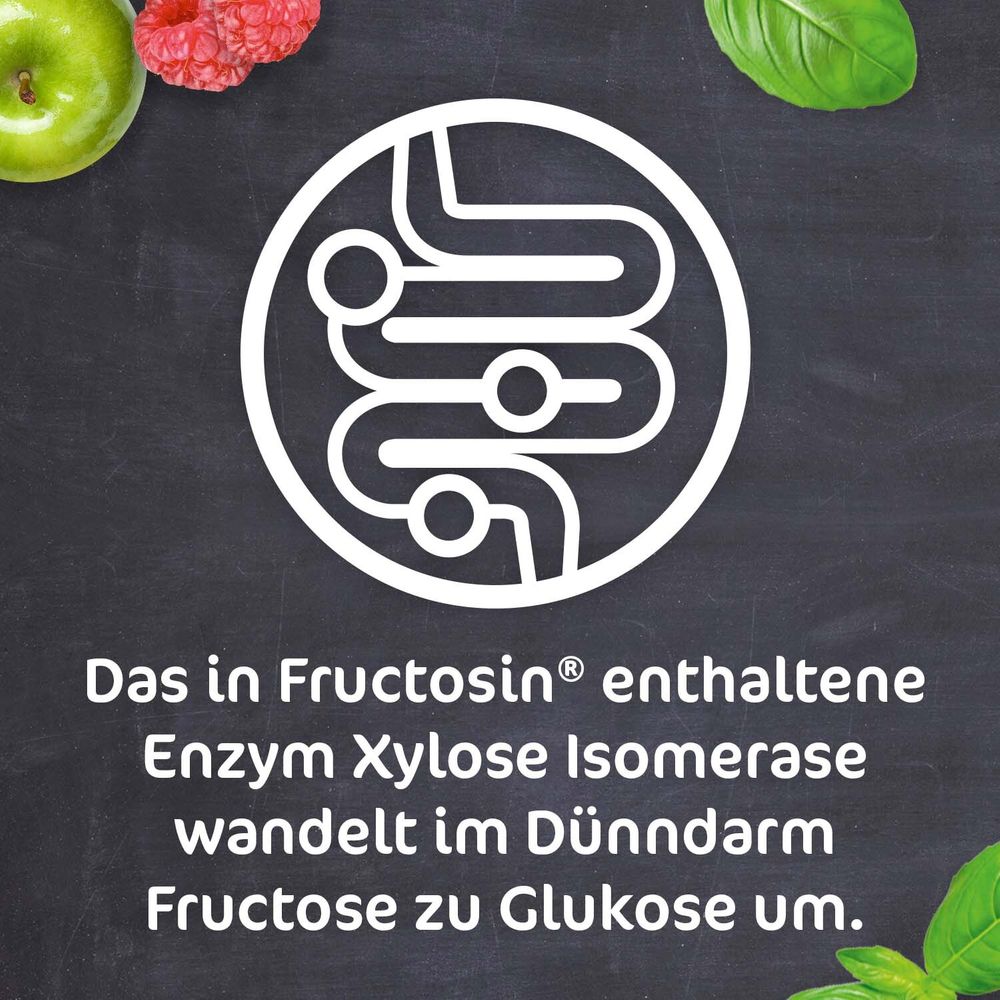 FRUCTOSiN® - zur Linderung von durch Fruktosemalabsorption bedingten ...