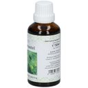 EVOLUTION® Frauenmantel 50 ml - SHOP APOTHEKE