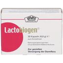 Lactobiogen® Kapseln 30 St - Shop Apotheke