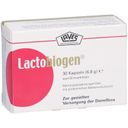 Lactobiogen® Kapseln 30 St - Shop Apotheke