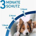 FRONTLINE® SPOT ON Hund (20-40kg) gegen Zecken und Flöhe 3 St - Shop ...