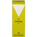 32 Solidago H 100 ml - Shop Apotheke