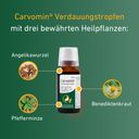 Carvomin® Verdauungstropfen 20 ml - Shop Apotheke
