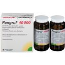 Pangrol® 40000 Kapseln 200 St - Shop Apotheke