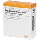 Solidago compositum Heel Ampullen 10 St - Shop Apotheke