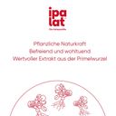 ipalat® Halspastillen zuckerfrei 400 St - Shop Apotheke