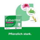 Esberitox COMPACT Tabletten bei Erkältungskrankheiten 20 St - Shop Apotheke