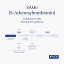 pure encapsulations® SAMe 60 St - Shop Apotheke