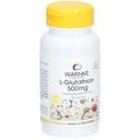 WARNKE L-Glutathion 500mg Tabletten 100 St - Shop Apotheke