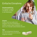 SYXYL PROBIO-CULT® DUO zurtäglichen Darmpflege 100 St - Shop Apotheke