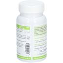 APOrtha® Kaneka Ubiquinol™ Coenzym Q10 Kapseln - 100 mg 60 St - Shop Apotheke