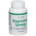MAGNESIUM SYNERGY Komplex Glycinat Malat & Citrat 120 St - Shop Apotheke
