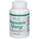 MAGNESIUM SYNERGY Komplex Glycinat Malat & Citrat 120 St - Shop Apotheke
