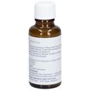 Dechra Simeticon Dechra 41,2 mg /ml 30 ml - Shop Apotheke