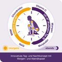 flexiLoges® Knorpel aktiv 240 St - Shop Apotheke