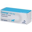 Canergy® 100 mg Tabletten für Hunde Propentofyllin 100 St - Shop Apotheke
