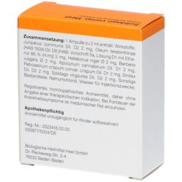 Solidago compositum Heel Ampullen 10 St - Shop Apotheke