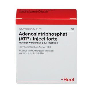 Adenosintriphosphat (ATP)-Injeel® forte Ampullen 10 St - Shop Apotheke