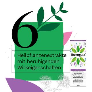 IberoBiotics® Zen + Iberogast® Classic 1 St - Shop Apotheke