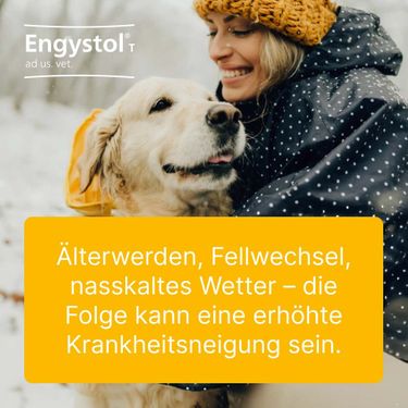 Engystol® ad us. vet. Tabletten 100 St - Shop Apotheke