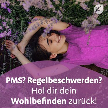 Bionorica® Agnucaston® 20 mg 90 St - Shop Apotheke