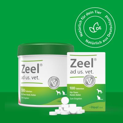 Zeel® ad us. vet Tabletten 500 St - Shop Apotheke