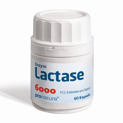 Enzym Lactase - 6000 FCC / 60 Kapseln 60 St - Shop Apotheke