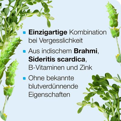 memoLoges® 120 St - Shop Apotheke