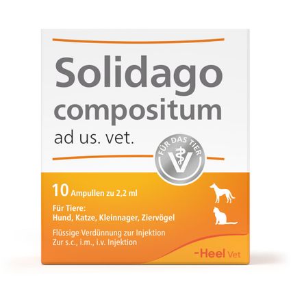 Solidago compositum ad us. vet. Ampullen 10 St - Shop Apotheke