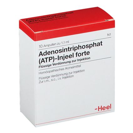 Adenosintriphosphat (ATP)-Injeel® forte Ampullen 10 St - Shop Apotheke