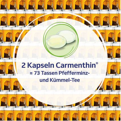Carmenthin® bei Verdauungsstörungen 42 St - Shop Apotheke