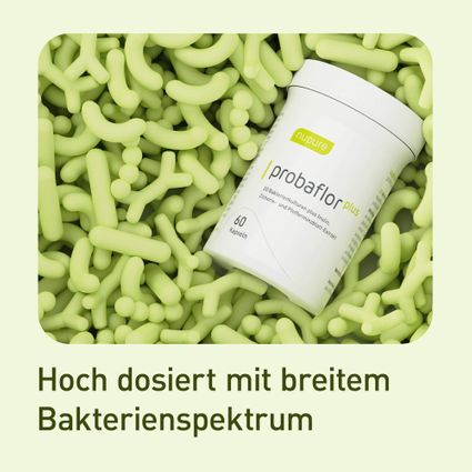 nupure probaflor plus - Hoch dosiert mit breitem Bakterienspektrum 60 ...