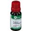 ARCANA® Radium Bromatum LM VI 10 ml - Shop Apotheke
