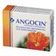 ANGOCIN® Anti-Infekt N 100 St - Shop Apotheke