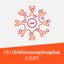 Neuropax-ratiopharm forte mit Uridinmonophosphat (UMP), Vitamin B12 und ...