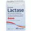 Enzym Lactase 6000 FCC Kapseln 60 St - Shop Apotheke