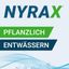 NYRAX® pflanzliche Nierentabletten zur Entwässerung 100 St - Shop Apotheke