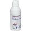 MALASEB Shampoo 250 ml - Shop Apotheke