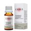CERES Schwarze Johannisbeere Ribes nigrum Extrakt Tropfen 20 ml - Shop ...