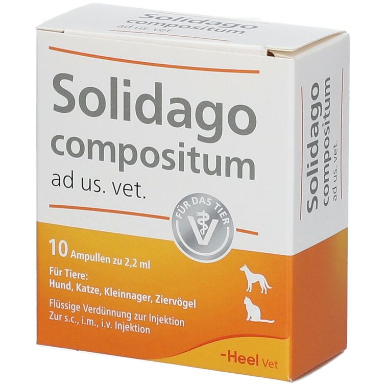 Solidago compositum ad us. vet. Ampullen 10 St - shop-apotheke.com