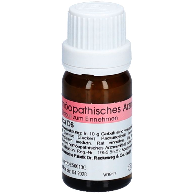 Arnica D 6 Globuli 10 g - Shop Apotheke