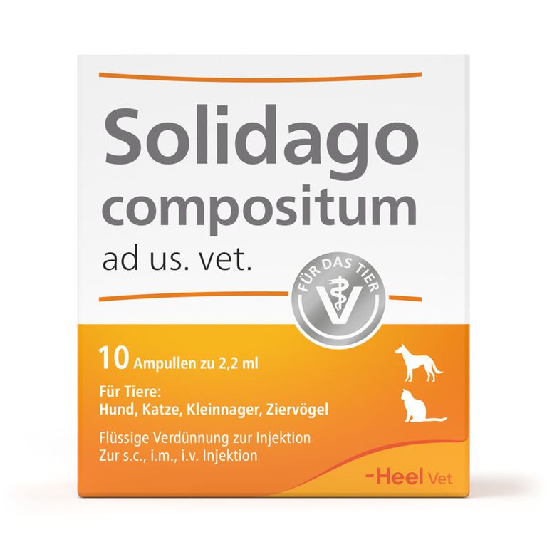 Solidago compositum ad us. vet. Ampullen 10 St - Shop Apotheke