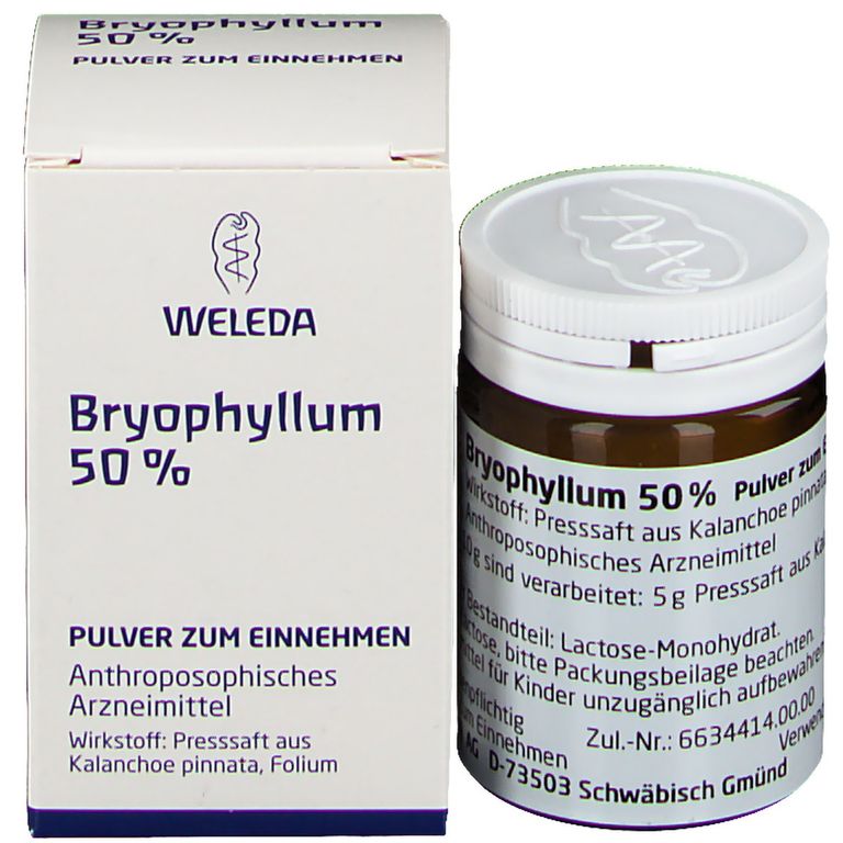 Bryophyllum 50% Pulver zum Einnehmen 20 g - Shop Apotheke