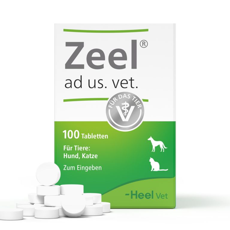 Zeel® ad us. vet Tabletten 100 St - Shop Apotheke
