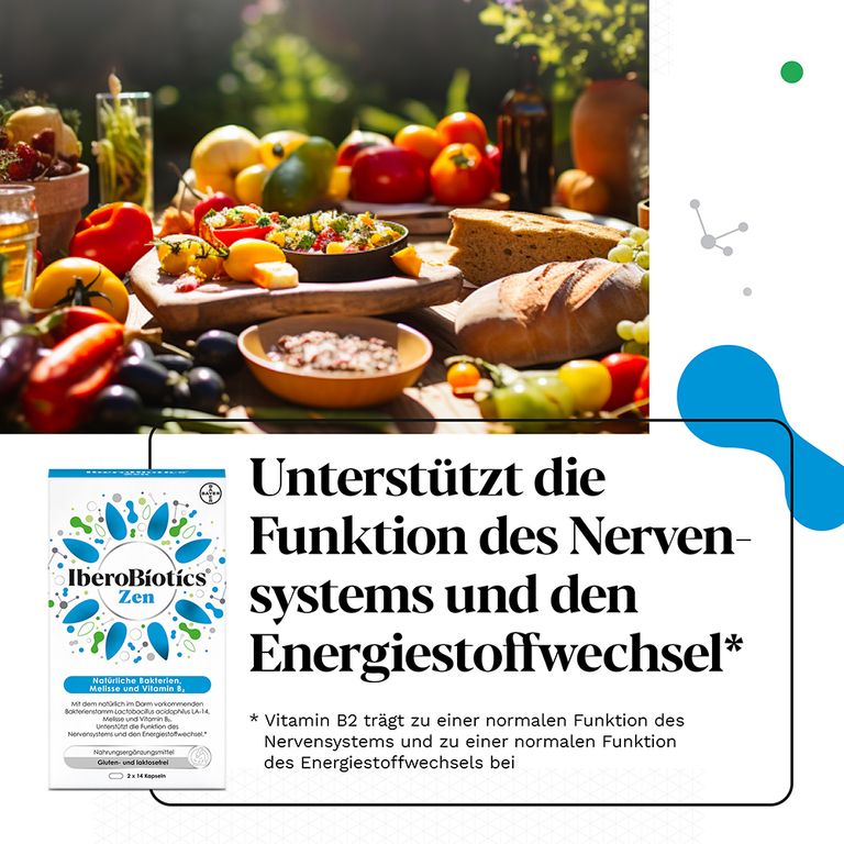 IberoBiotics® Zen + Iberogast® Classic 1 St - Shop Apotheke