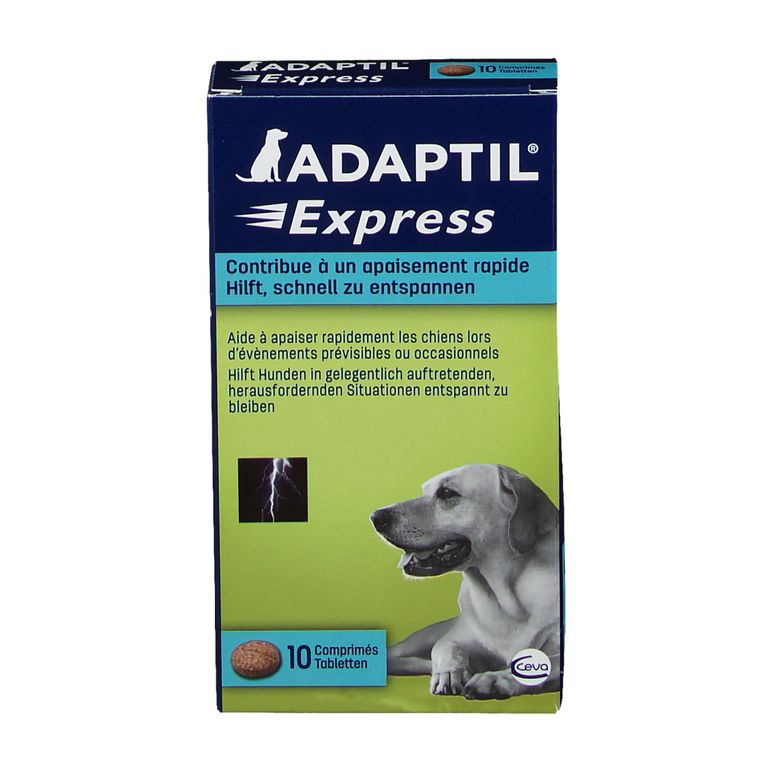 ADAPTIL® Express 10 St - Shop Apotheke