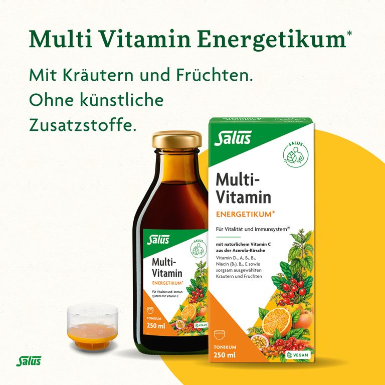Salus® Multi-Vitamin Energetikum* Familienpackung 500 ml - Shop Apotheke