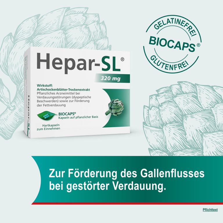 Hepar-SL® 320 mg 200 St - Shop Apotheke