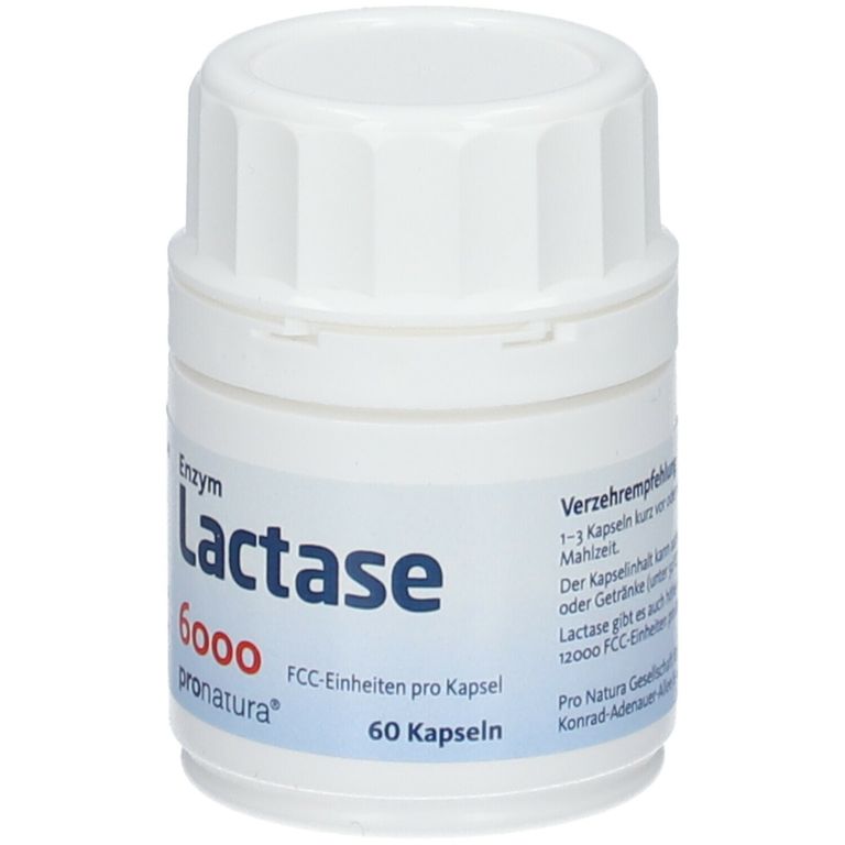 Enzym Lactase 6000 FCC Kapseln 60 St - Shop Apotheke