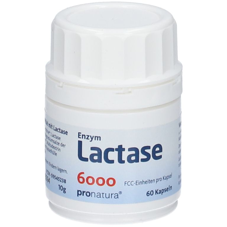 Enzym Lactase 6000 FCC Kapseln 60 St - Shop Apotheke